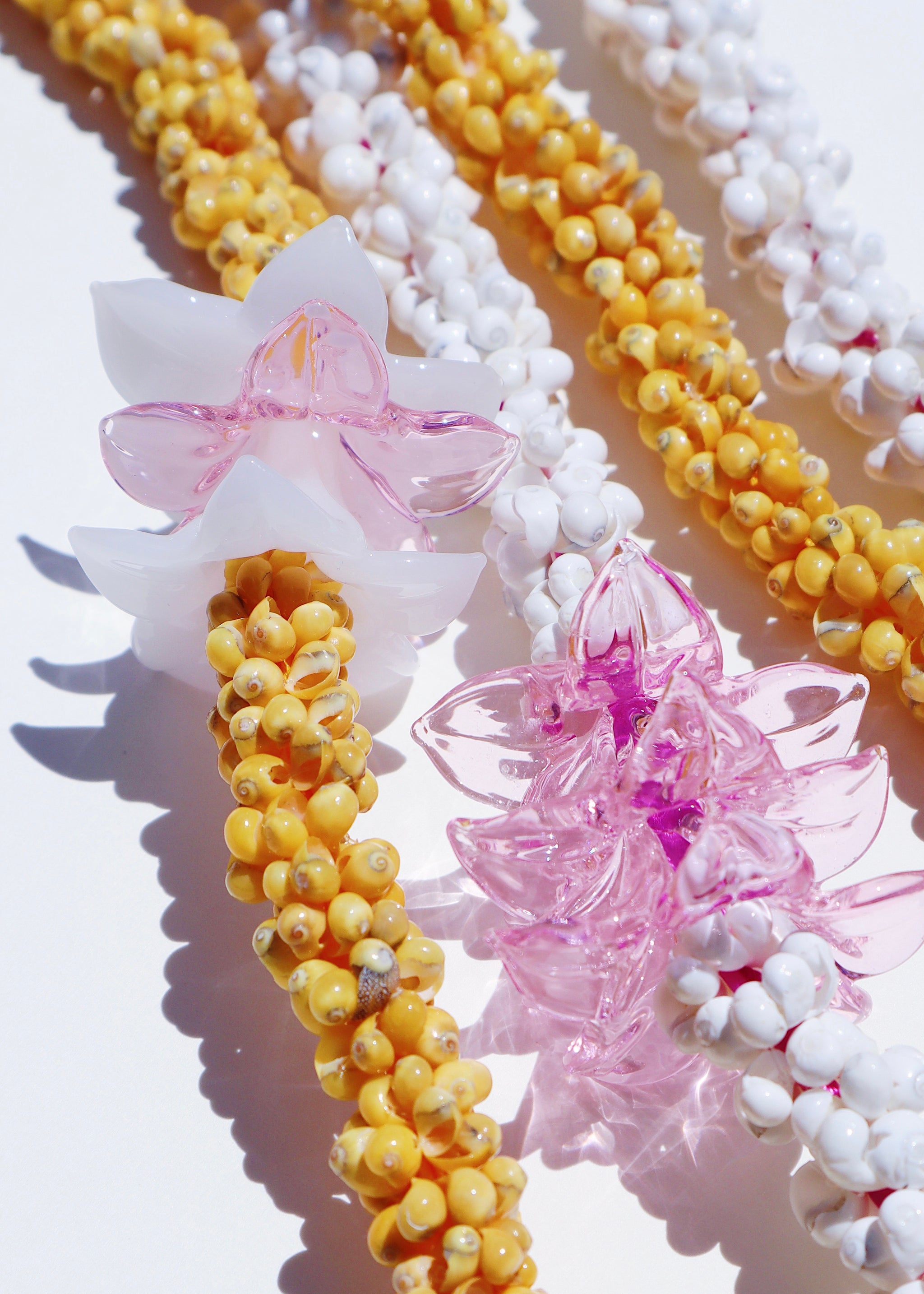 Pua Melia Plumeria Mongo Shell Lei with 3 Pua – Arlie Pemberton
